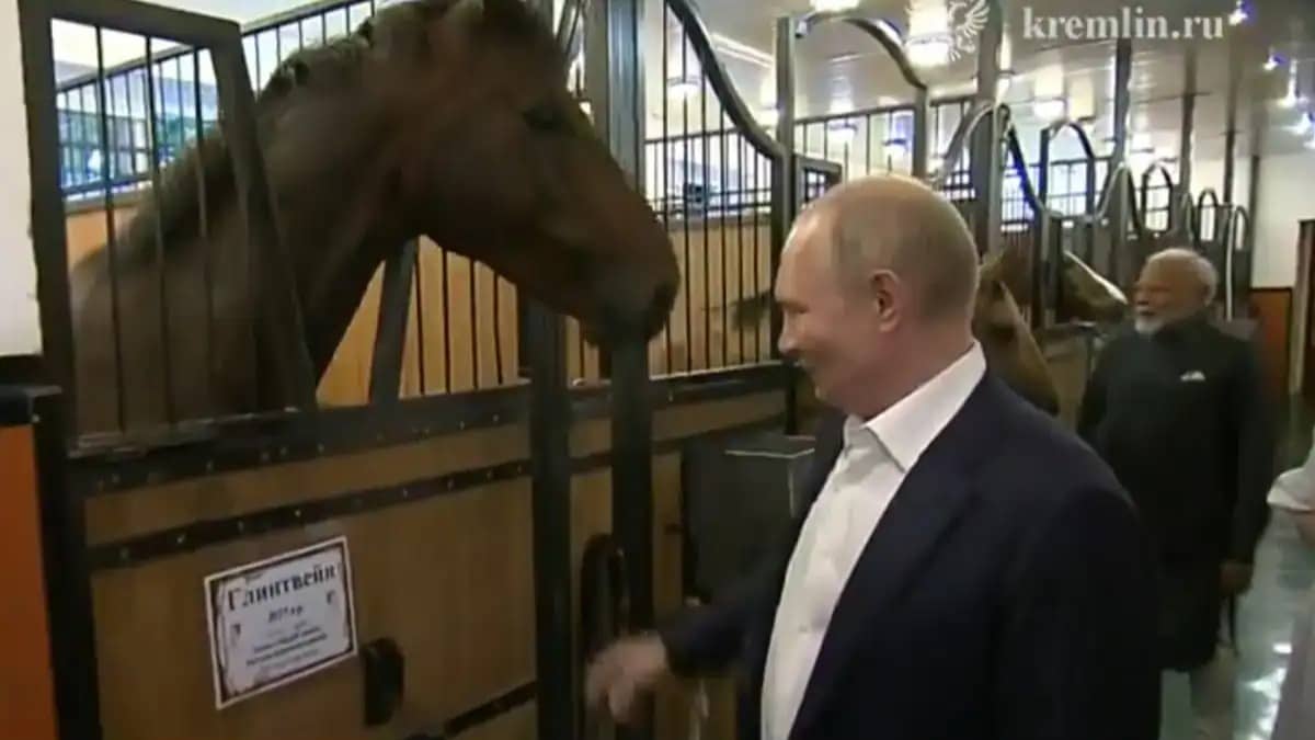 Video: PM Modi, Putin Take a Stroll Through Horse Stables in President ...
