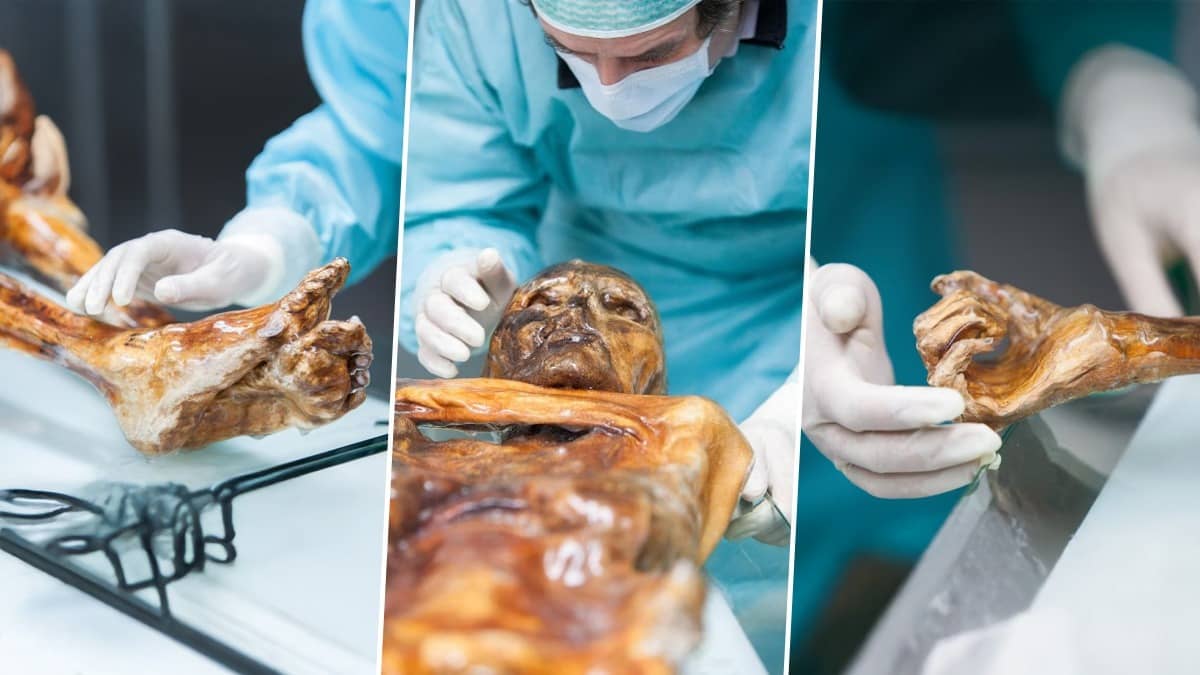 Dead For 5,300 Years, But Is Otzi The Iceman Still Alive Inside Europe ...