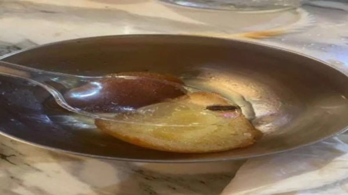 Ghaziabad Shocker: Cockroach Found in Dinner at Vaishali Restaurant ...