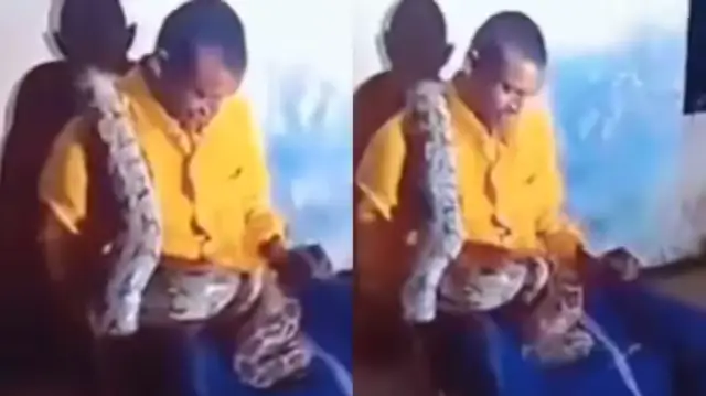 Viral Video Shows Python Coils Around Drunk Man In Andhra Pradesh ...
