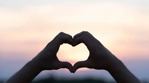 Top 5 Zodiac Signs That Revel In Being Adored | Republic World