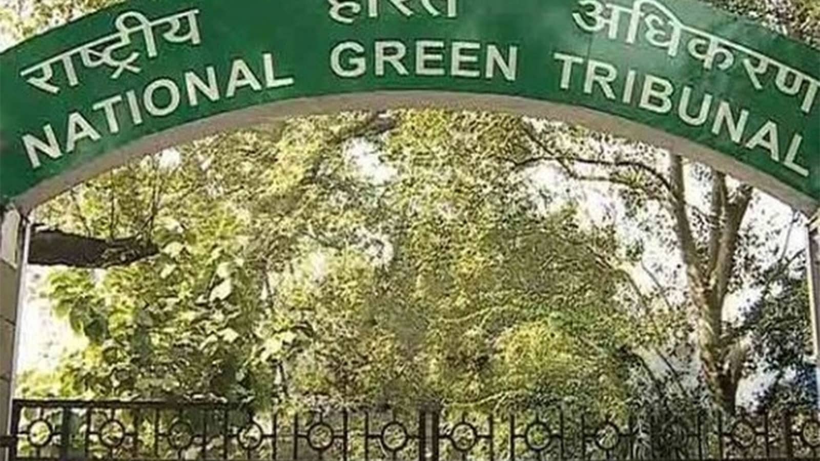 Agra: National Green Tribunal Issues Notice on Alleged Illegal Tree ...