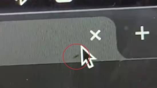 'New Work Buddy': Video of Ant Crawling Into Laptop Screen Goes Viral ...