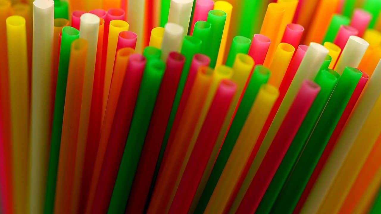 'Back to Plastic': Trump Signs Order for Plastic Straws as He Declares ...