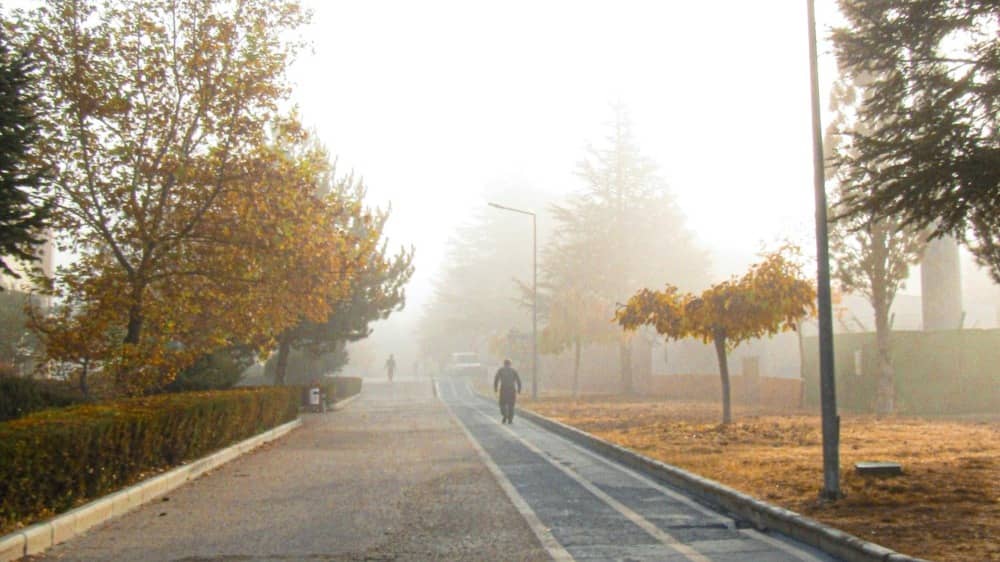 3 Health Benefits Of Walking On A Breezy Cold Morning | Republic World