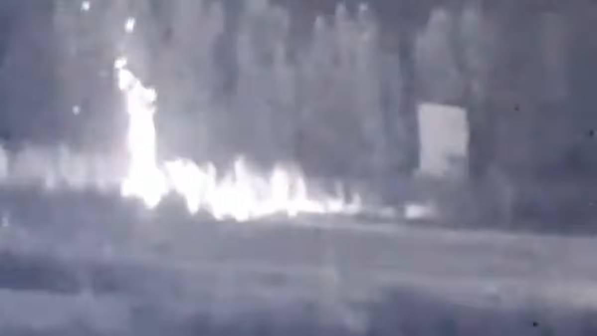 BSF Destroys Looni Terror Launch Pad in Pakistan’s Sialkot As Border ...