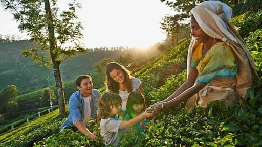 Truly Serene: Review of Club Mahindra Mount Serene Resort, Munnar ...