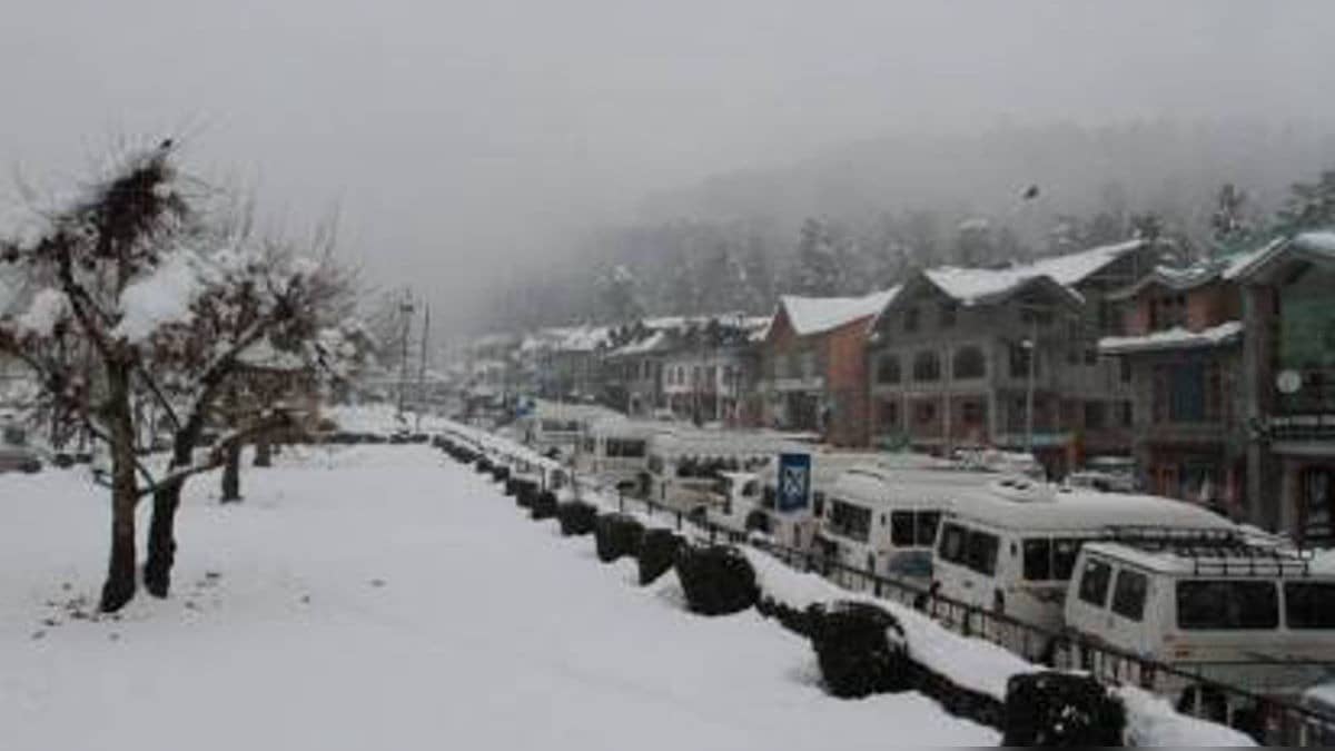 Cold Wave Grips North India: Kashmir Freezes, Delhi & UP Shiver ...