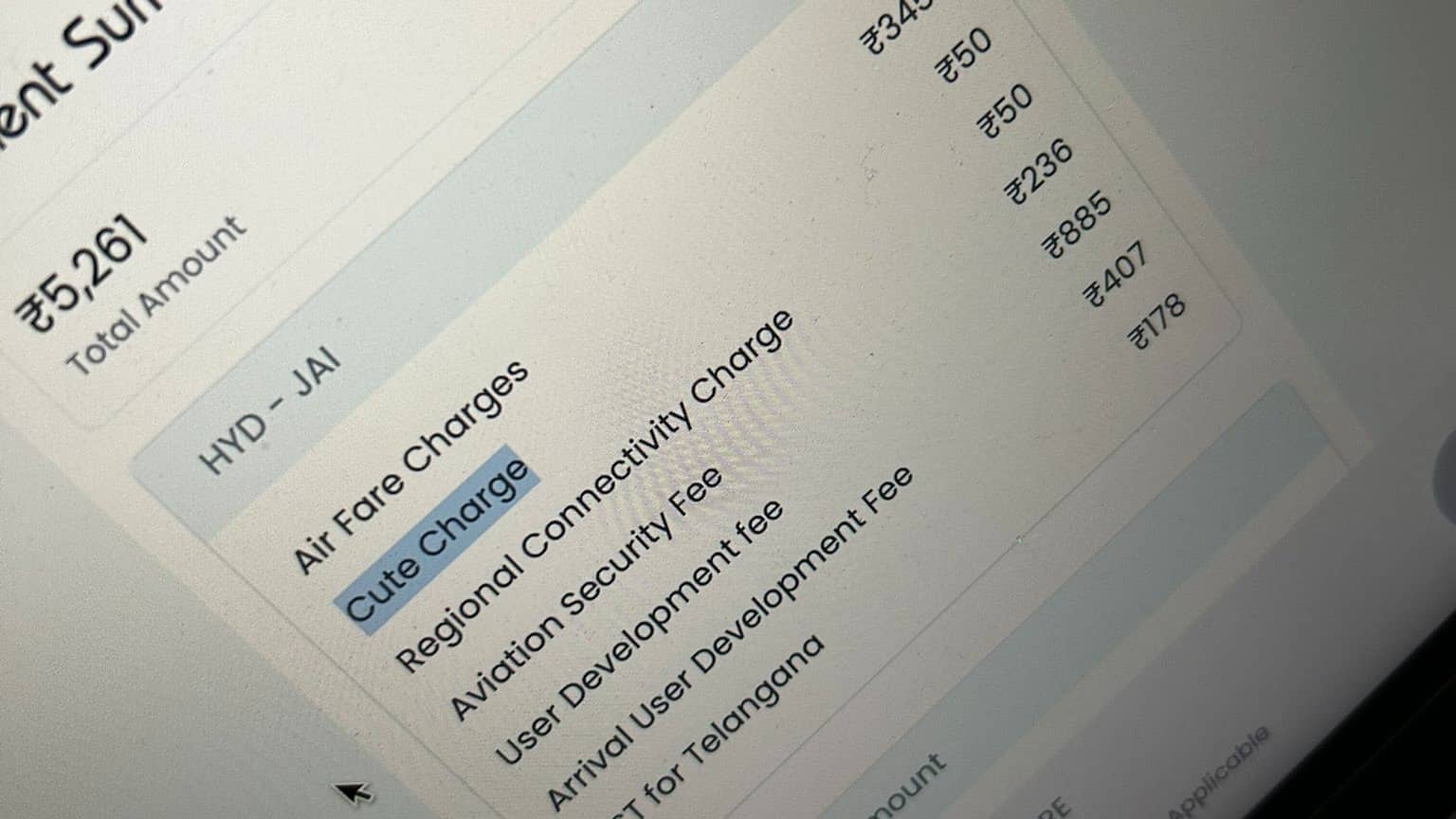 ‘Cute Charge’: Flight Bill Stuns Passenger and Sparks Viral Online ...
