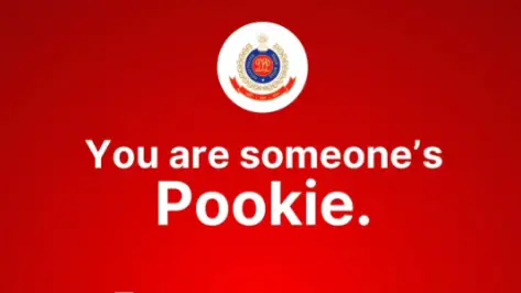 'Pookie's Choice': Delhi Police’s Innovative Road Safety Message Goes ...