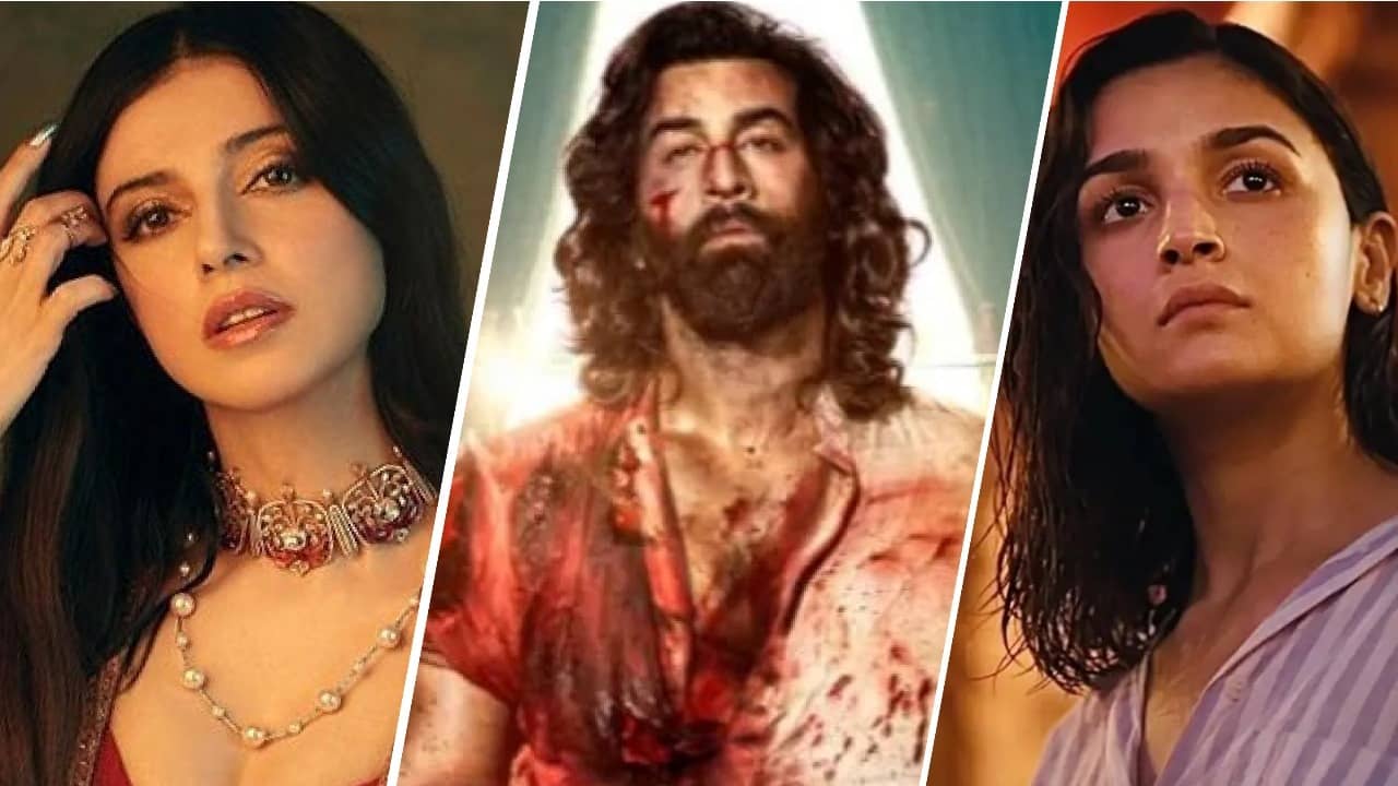 Alia Bhatt Vs Divya Khossla Kumar: Ranbir Kapoor, Animal Park Get ...