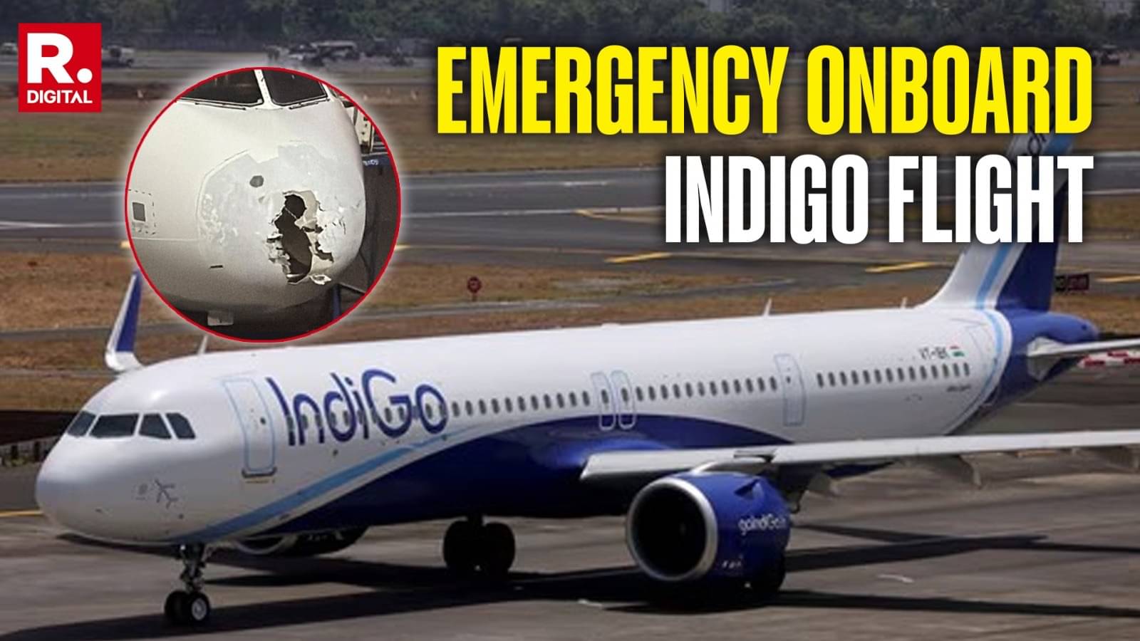 Just Minutes After Takeoff, Bird Hits Indigo Plane’s Nose: Emergency ...