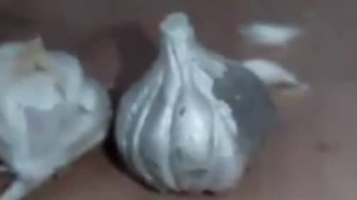 Ex-Cop Falls for Cement Garlic Scam in Akola: Video Goes Viral ...