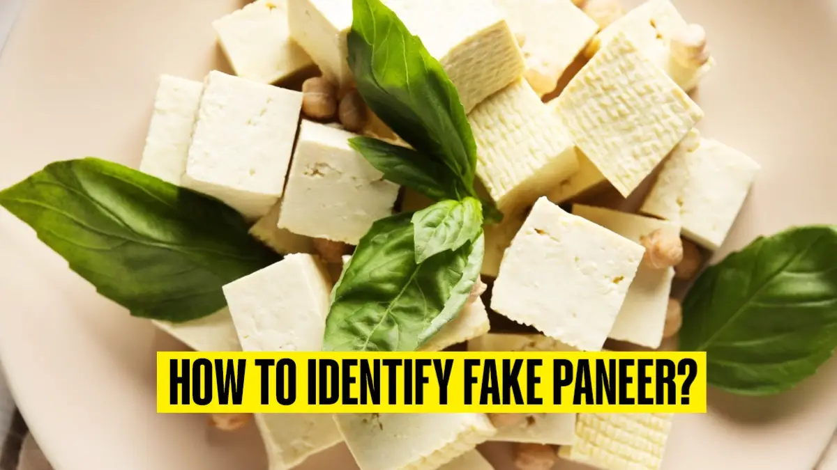 40% Of Paneer Found Unsafe For Consumption: How To Identify Fake Indian ...