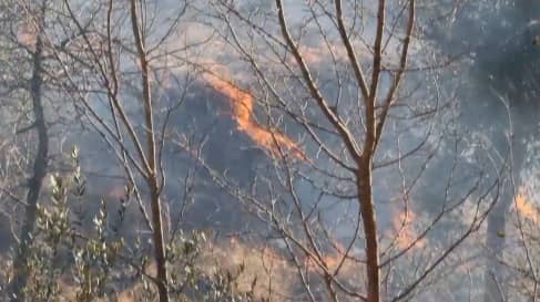 Forest Fire Triggers 4 Landmine Blasts Along LoC In J&K's Poonch ...
