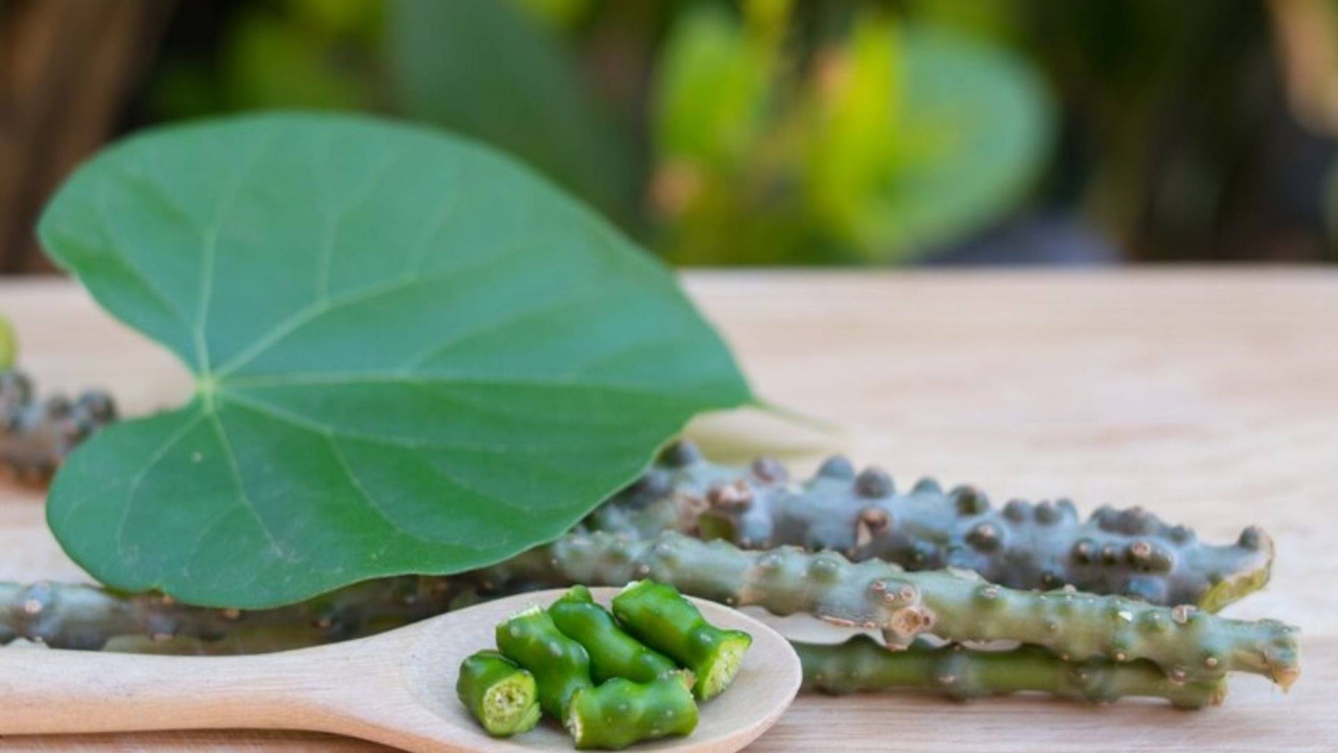 Giloy: गिलोय के गुप्त फायदे बदल सकते हैं सेहत की कहानी, जानिए सेवन का ...