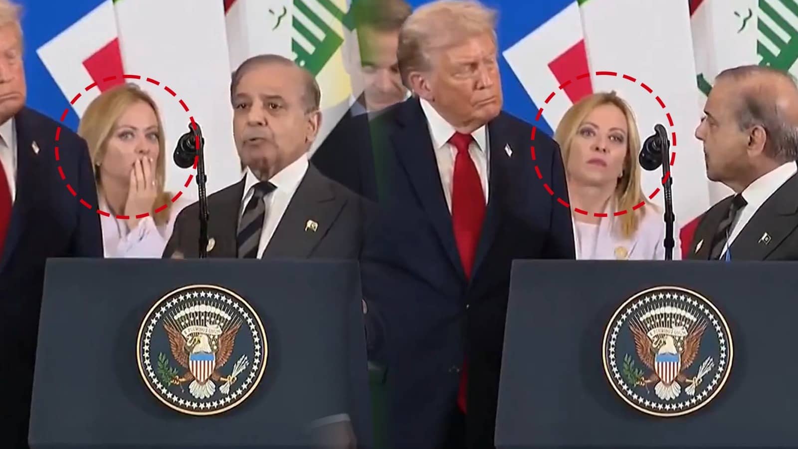 Giorgia Meloni Stunned As Shehbaz Sharif Showers Praise On 'Man Of ...