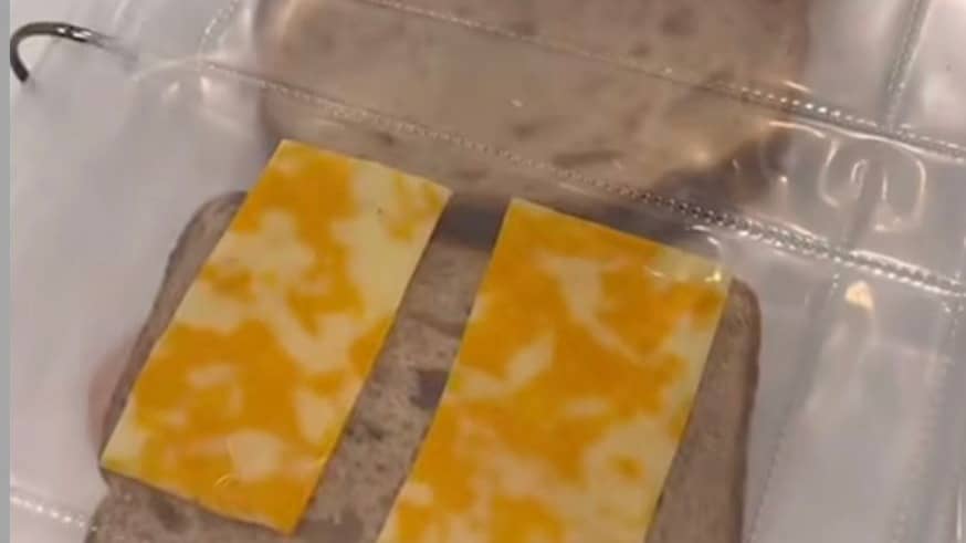 Viral Video: Woman Packs Boyfriend's Lunch in Binder; Internet Finds it ...