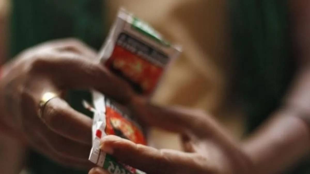 Gutka Valued at Over Rs 32 Seized in Thane District; One Held ...