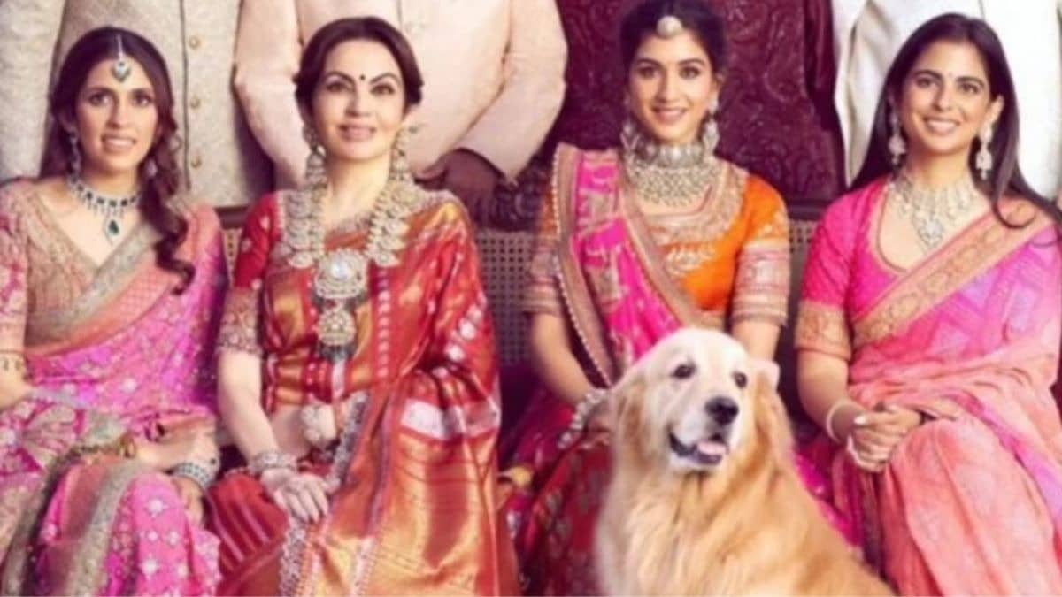 Happy Ambani's Cute Moments From Anant Ambani And Radhika Merchant's ...