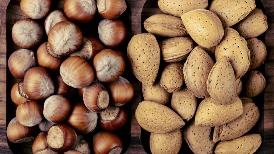 Benefits Of Hazelnuts On Skin And Hair | Republic World