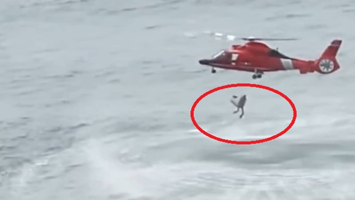 Heroic Helicopter Rescue Captured On Video: Coast Guard Saves 11-Year ...