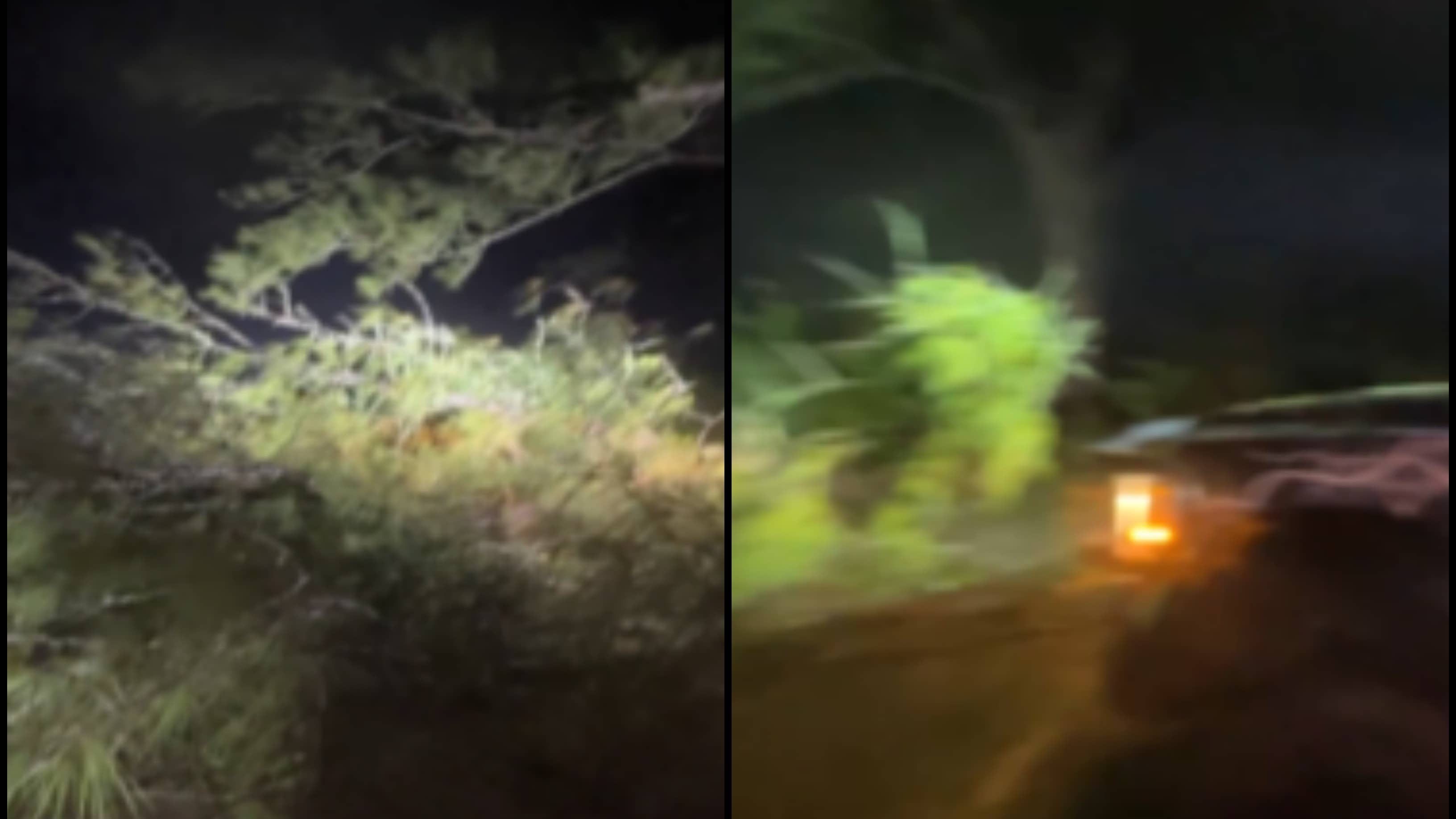 Hurricane Milton Strikes Florida: Reporters Face Harrowing Close Calls ...