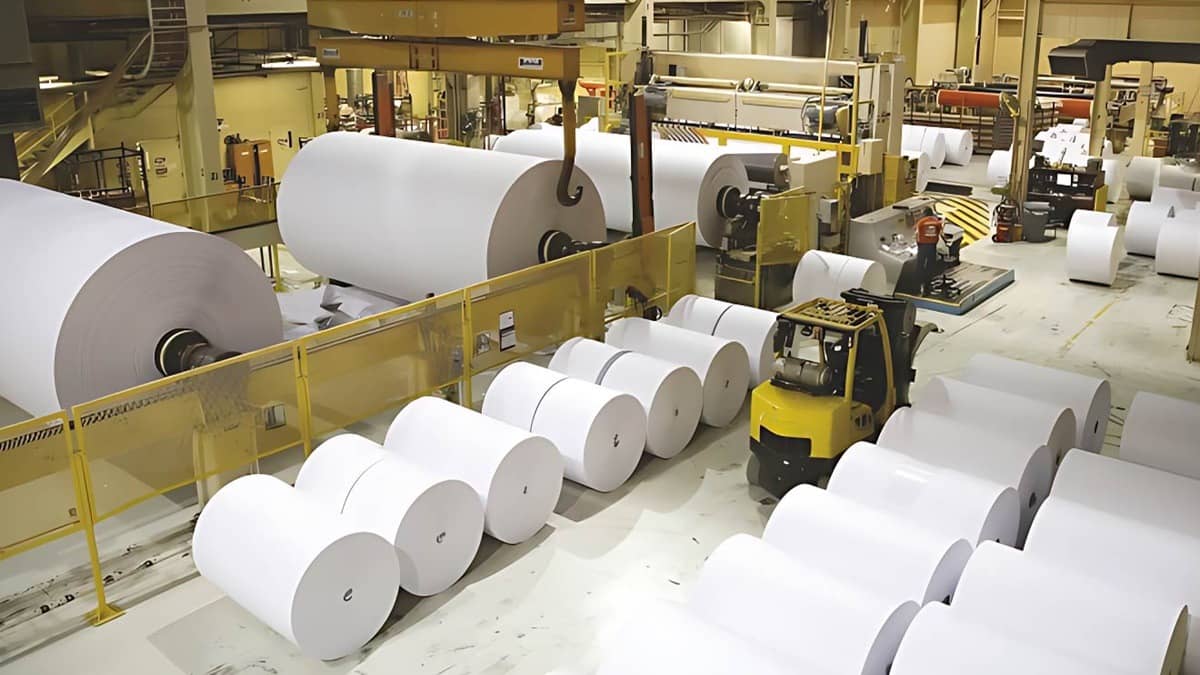 India’s Paper Sector Calls For Raw‑Material Security And Stricter ...