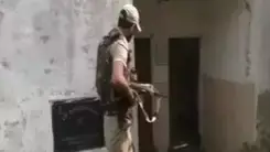 Kathua Ambush: 24 Detained Amid Ongoing Terrorist Search in J-K Forests | Republic World