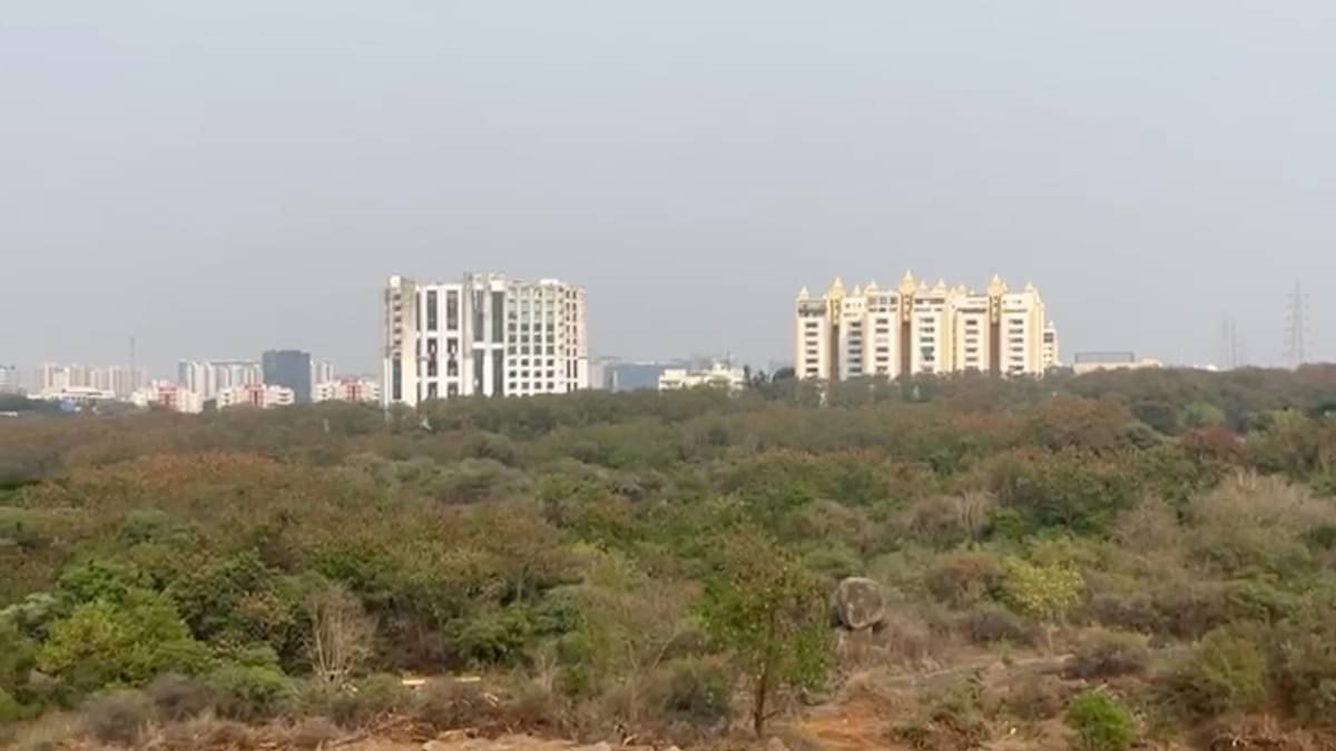 Kancha Gachibowli Row: Hyderabad University Flare Up On Forest Cut Down ...