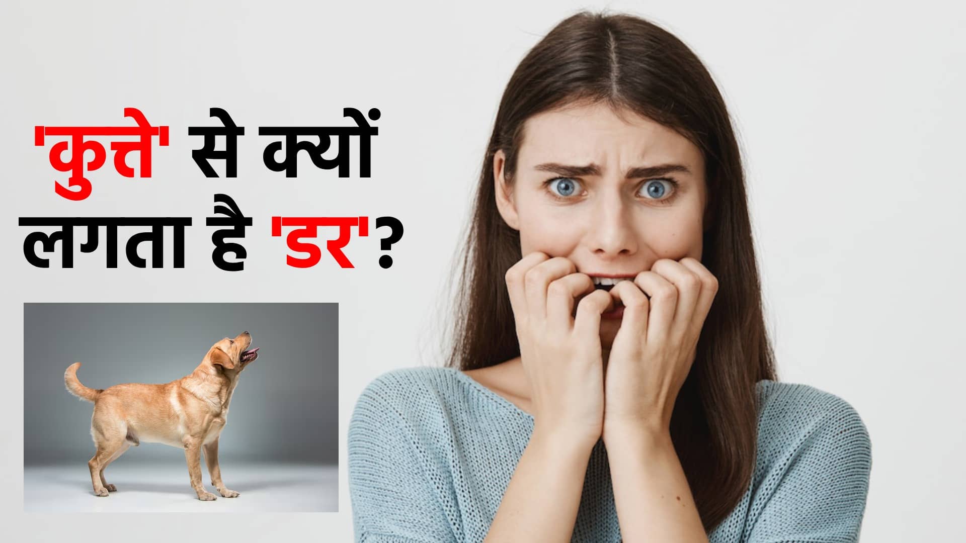 Dog Fear: डरते हैं कुत्तों से... तो तुरंत चले जाएं डॉक्टर के पास, हो ...