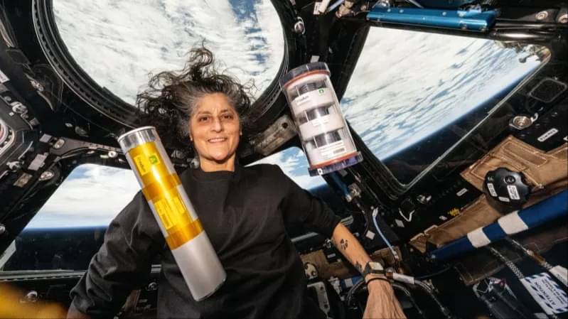 Lesser-Known Facts About Indian-Origin NASA Astronaut Sunita Williams | Republic World