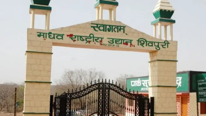 Madhav National Park to Be Designated as Tiger Reserve Soon, says MP CM ...