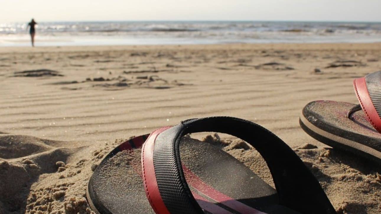 Maharashtra Elections: Slippers Banned Near Polling Booths? Independent ...