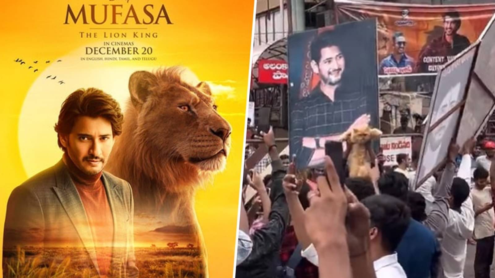 Mufasa The Lion King Telugu: Mahesh Babu's Fan Recreate Iconic Simba Scene With A Cat | WATCH ...