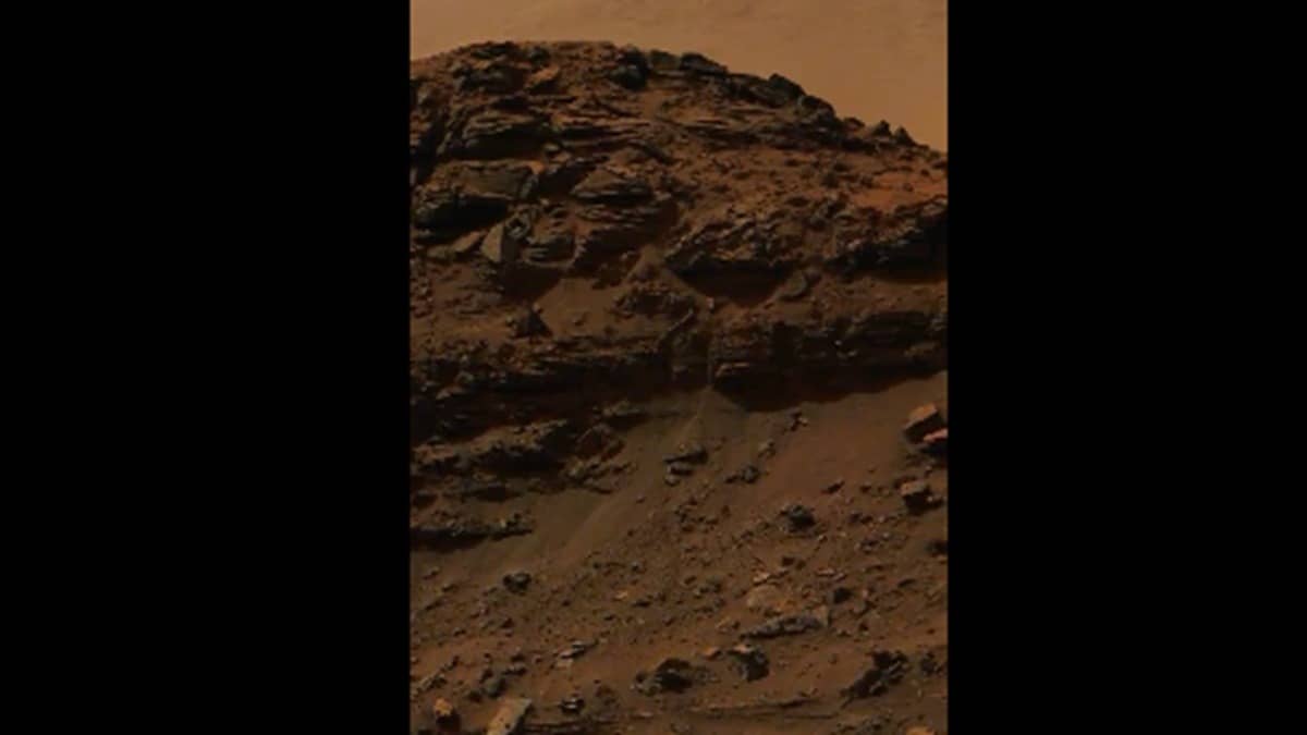 ‘Hopefully Will Depart Soon’: Elon Musk Reveals New Timeline for ...