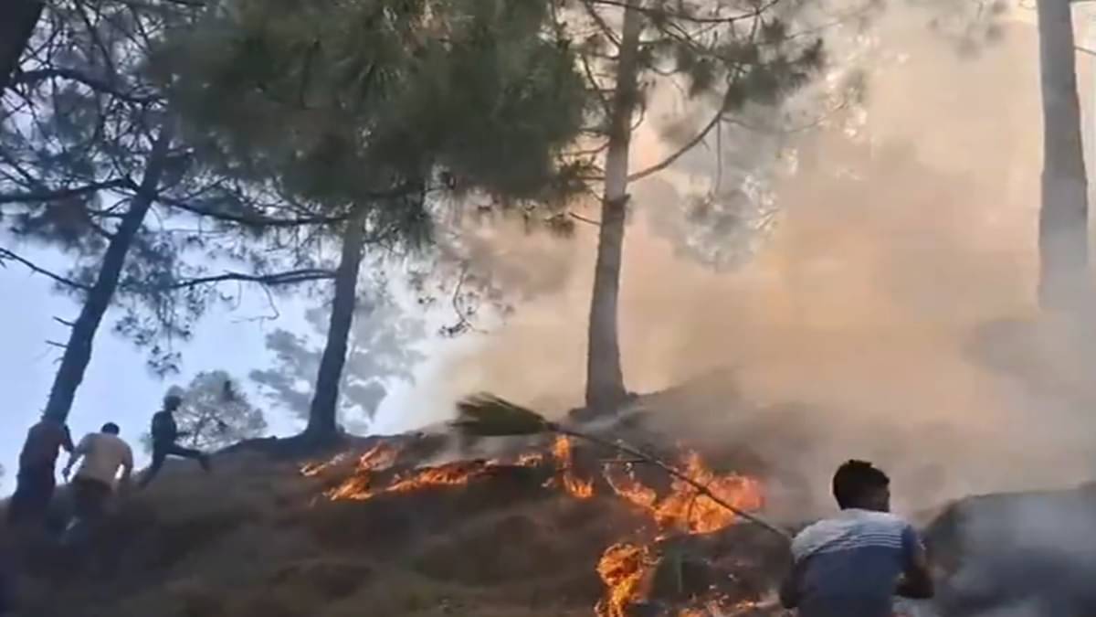 Massive Forest Fire Erupts Near LoC In J&K's Kalakote Amidst Tensions ...
