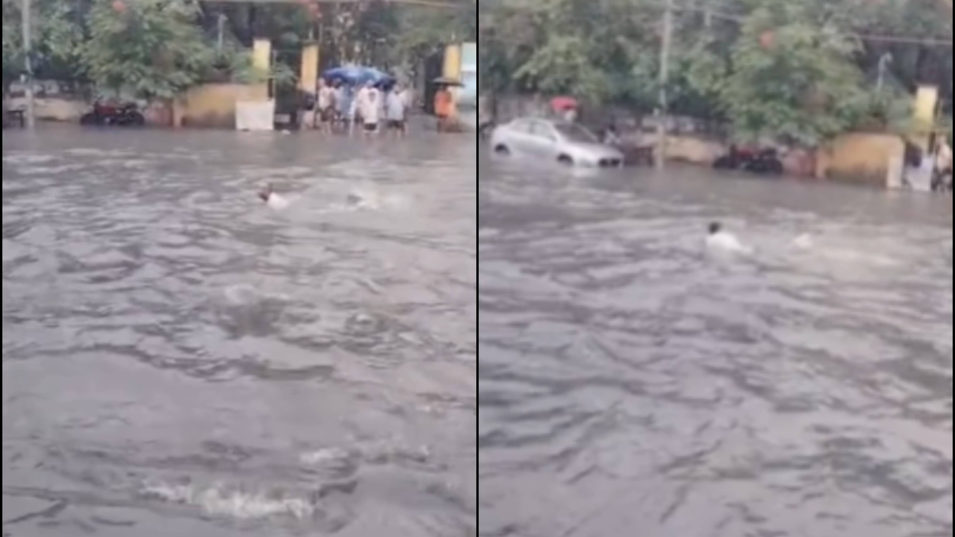 ‘Masti Nahi Rukni Chahiye’: Video Shows Man Swimming on Waterlogged Streets of Guwahati ...