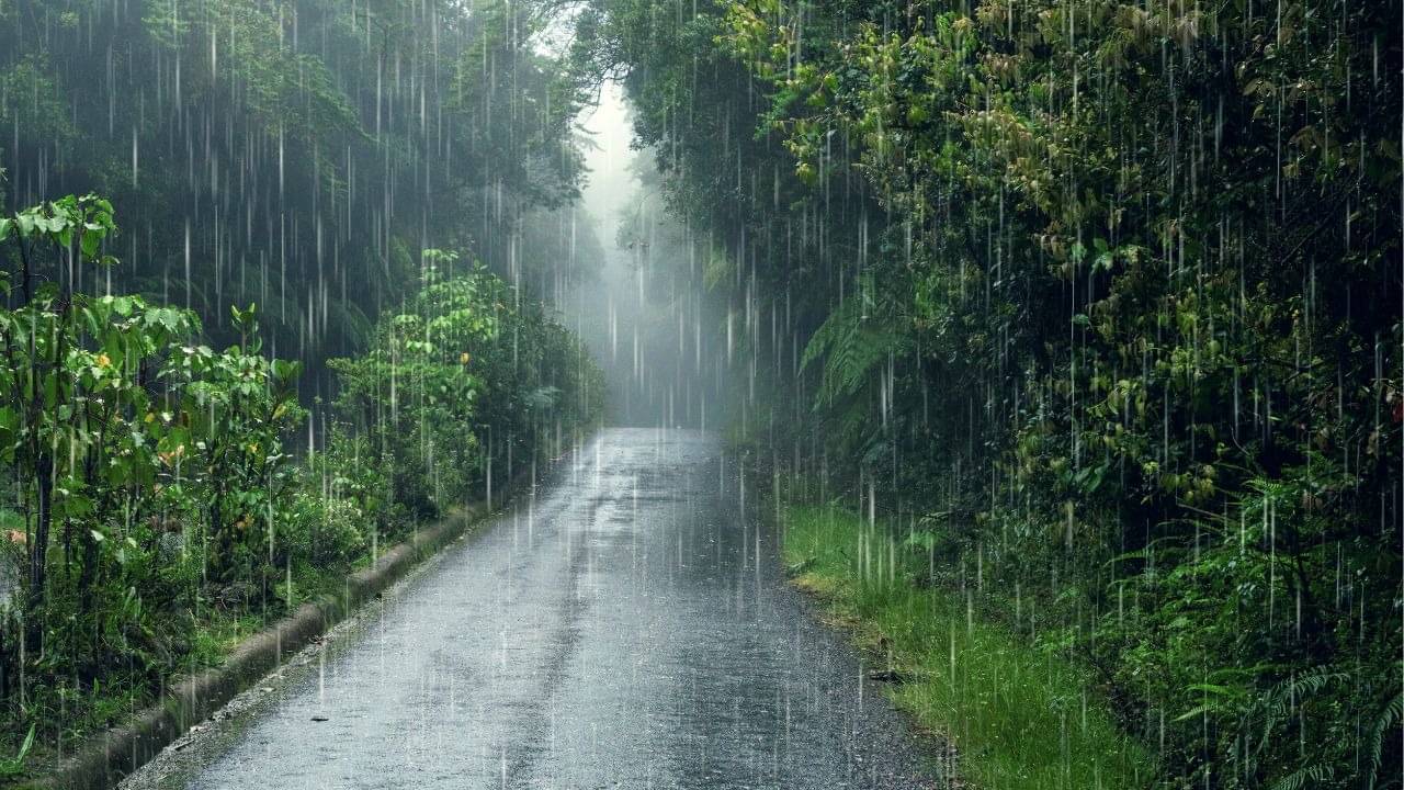 Art, Culture, Food And A Lot More: These Monsoon Festivals Are Truly ...