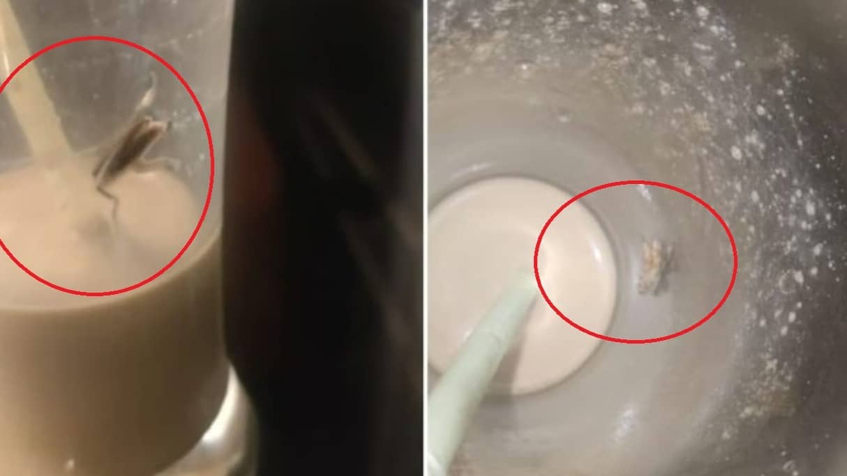 Mumbai Man Finds Cockroach in Cold Coffee at Malad Lounge | Here's What ...