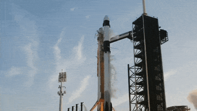 Sunita Williams’ Homecoming: Musk's SpaceX Launches Crew-10 Mission to Rescue 'Stranded' NASA ...