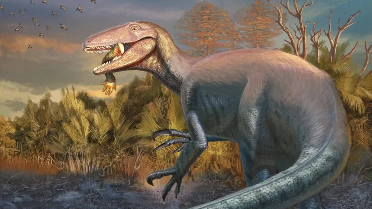 Scientists Discover A New Dinosaur From Argentina With A Crocodile Bone ...