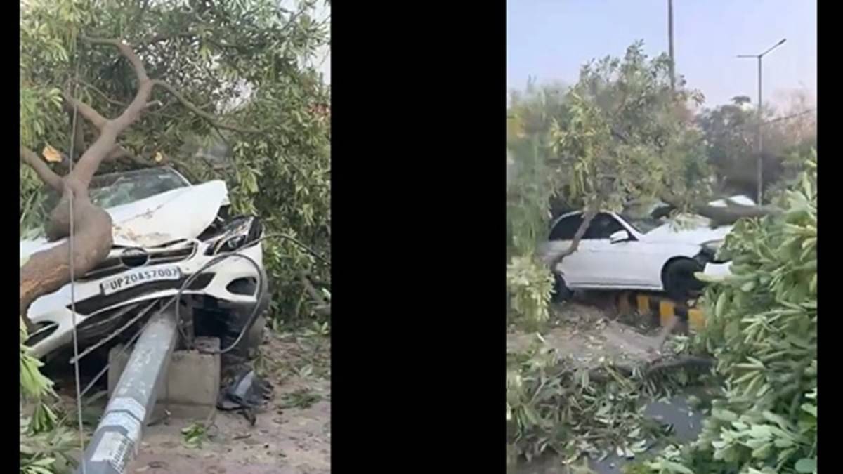 VIDEO: Mercedes Rams Tree in Noida Days After Lamborghini Crash, Driver ...