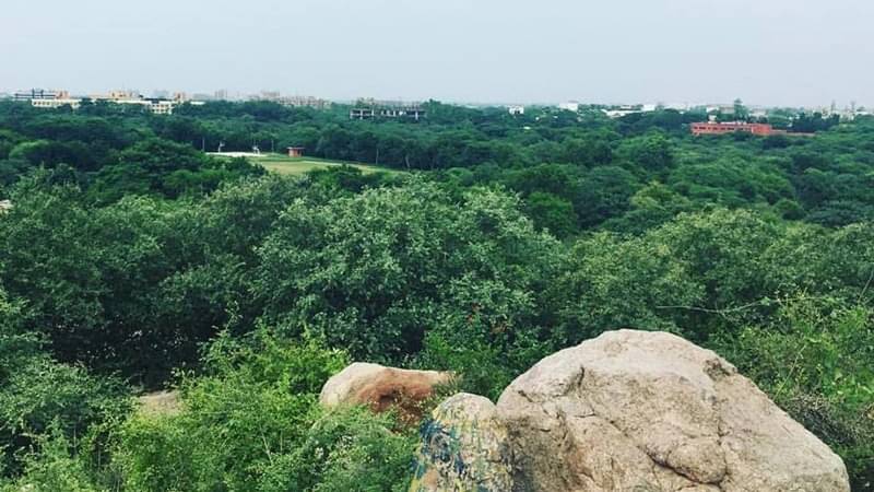 JNU Re-Opens Famous Hilltop Area 'Parthasarathy Rocks' After 5 Years ...