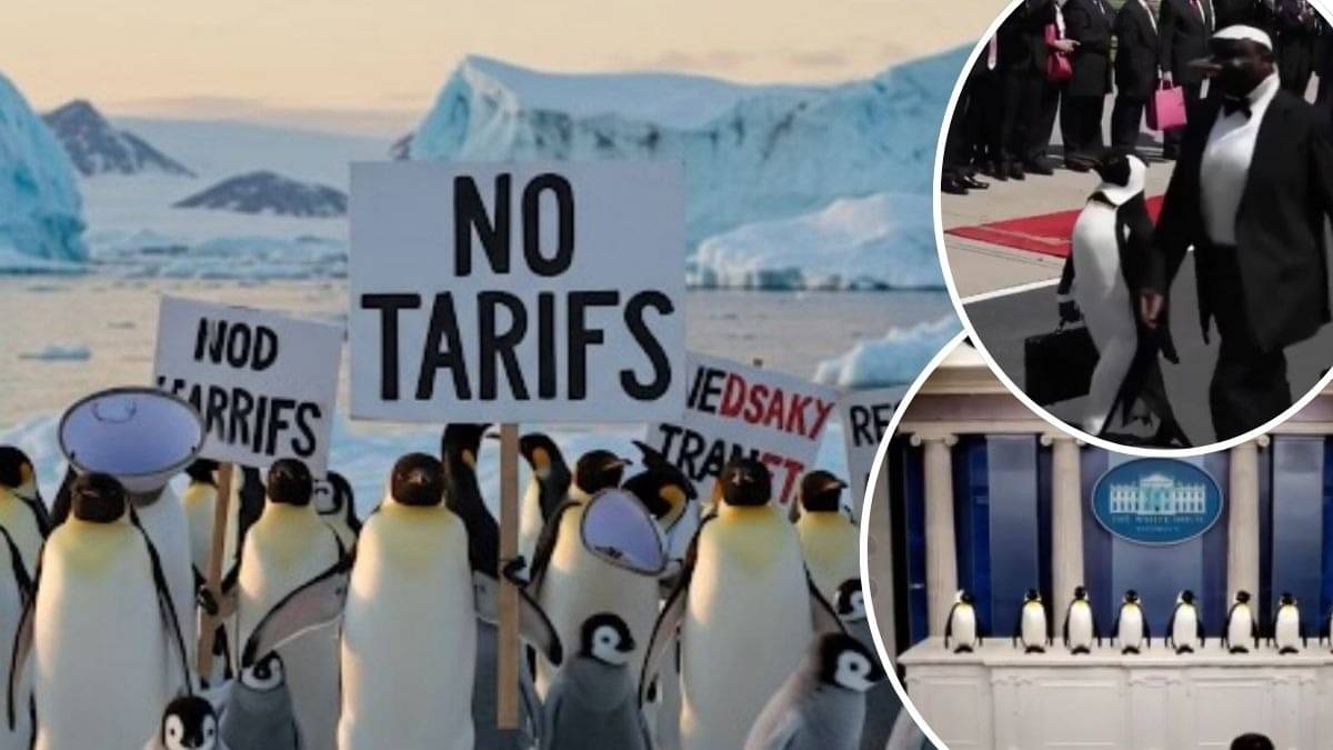Penguin's Nation in 'Shambles' After Trump Tariffs, Social Media ...