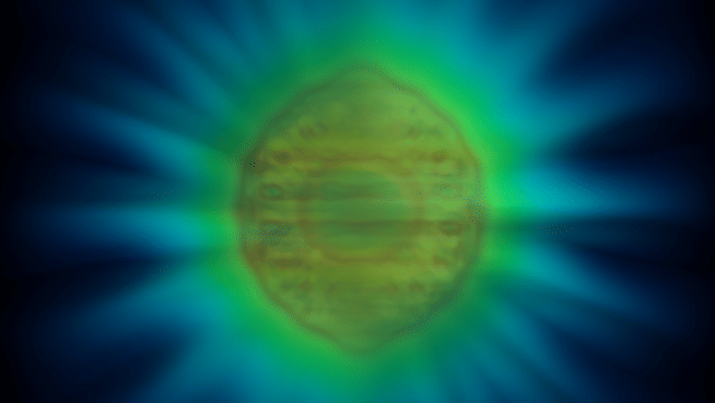 Groundbreaking: Scientists Reveal First Detailed Image Of Photon — A ...