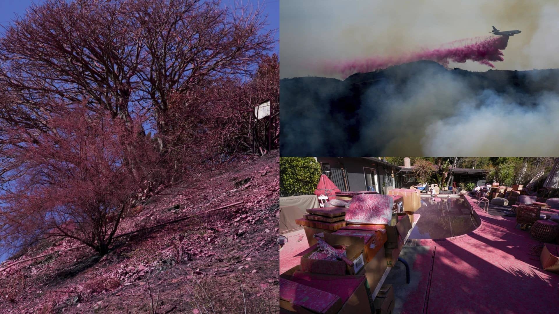 How Are Pink Flame Retardants Being Used To Slow California Fires ...