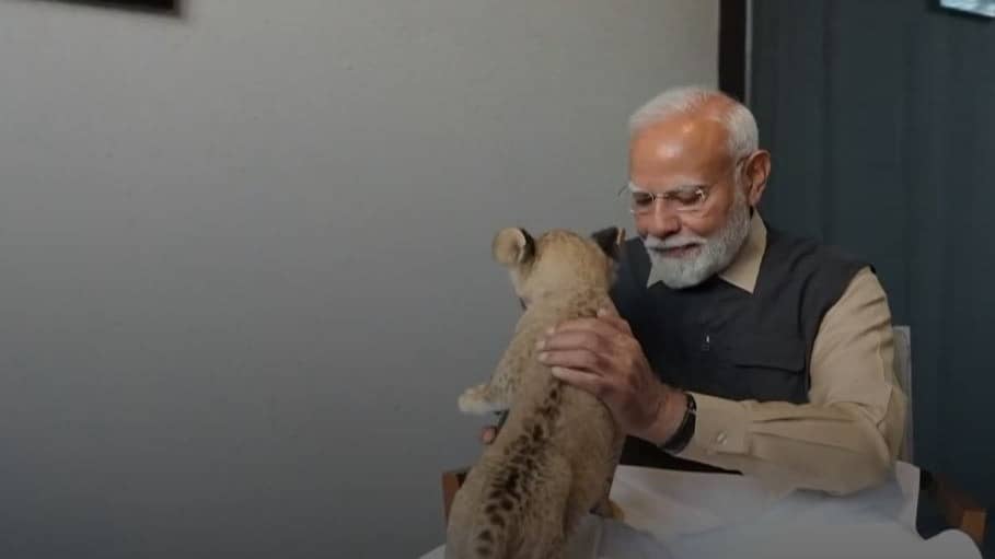 PM Modi Inaugurates Animal Rescue and Rehabilitation Centre in Anant ...