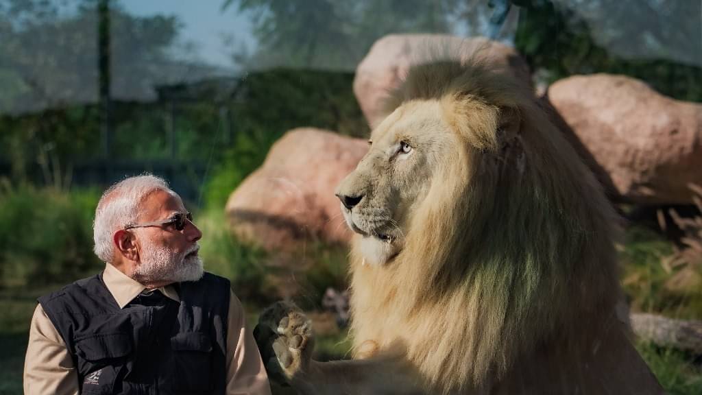 PM Modi's Viral Moments With Majestic Big Cats At Vantara, Bonds With ...