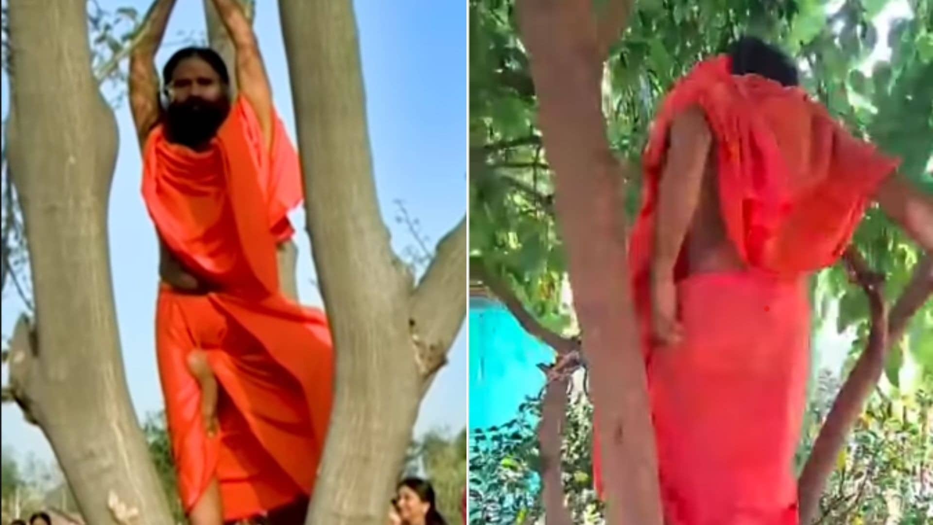 Ramdev Serves Up Surya Namaskar on Tree Branch, After Viral Clip ...